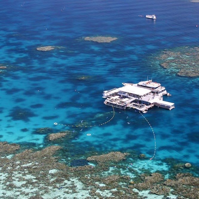 Great Barrier Reef Activity Platform - Agincourt Pontoon | Quicksilver ...